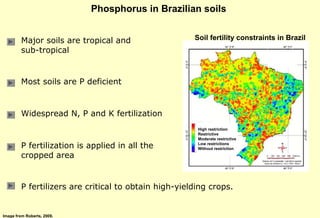 Phosphate fertilizer use in Brasil and Argentina. "Fertilizer ...