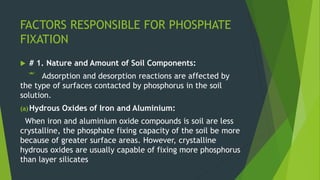 Phosphate fixation | PPSX