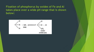 Phosphate fixation | PPSX