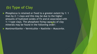 Phosphate fixation | PPSX