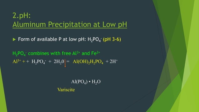 Phosphate fixation | PPSX | Gardening | Home & Garden