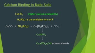 Phosphate fixation | PPSX