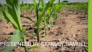 Phosphate fixation | PPSX