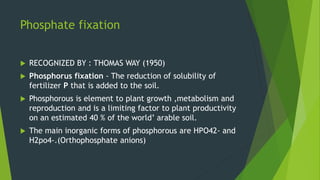 Phosphate fixation | PPSX