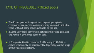 Phosphate fixation | PPSX