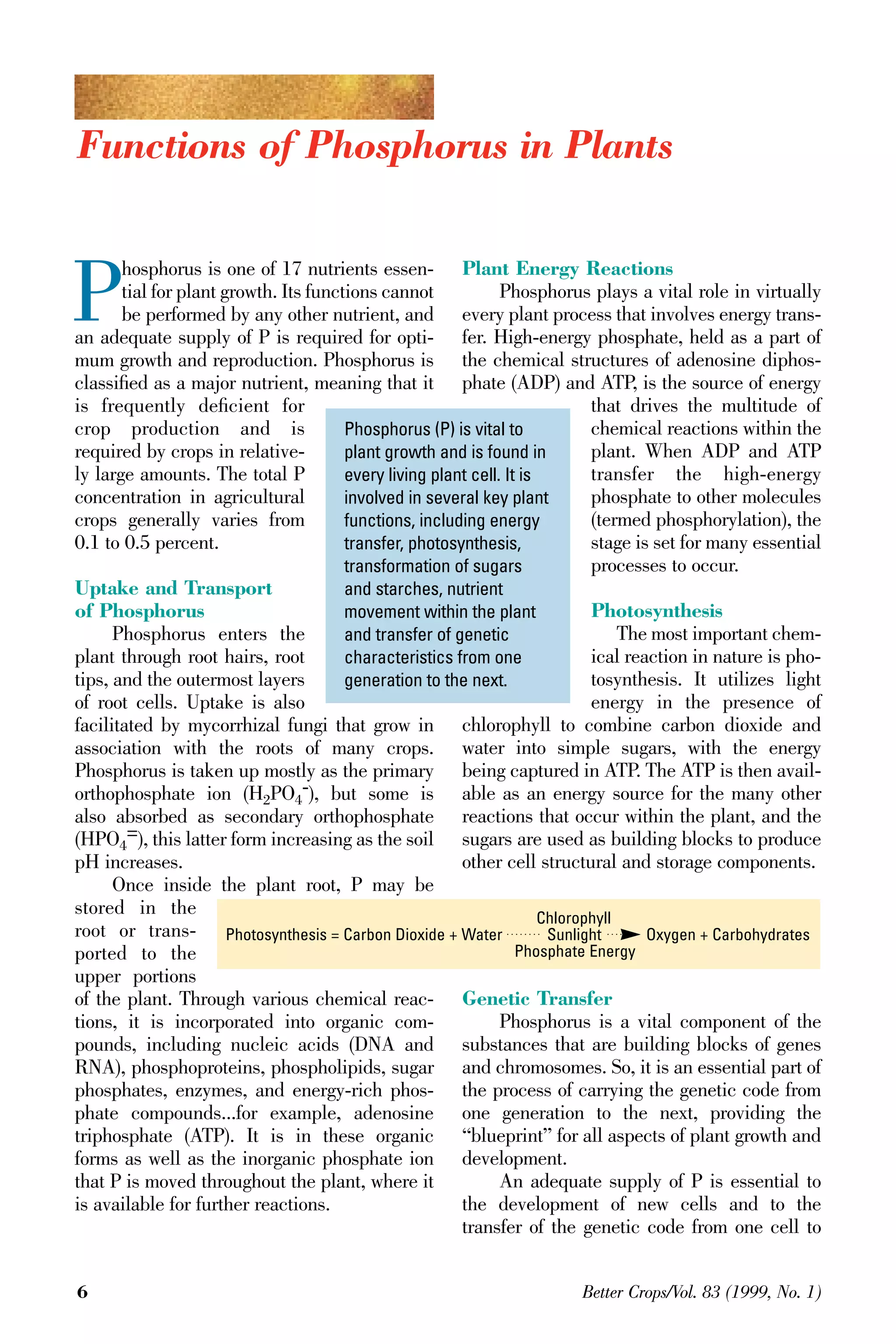 Phosphorus in Plants | PDF