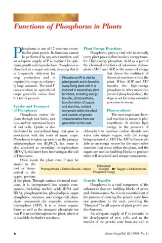 Uses Of Phosphorus In Plants