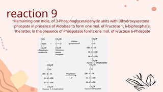 Phosphate Pentose Pathway, HMP shunt PPT | PPTX