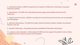 Phosphate Pentose Pathway, HMP shunt PPT | PPTX