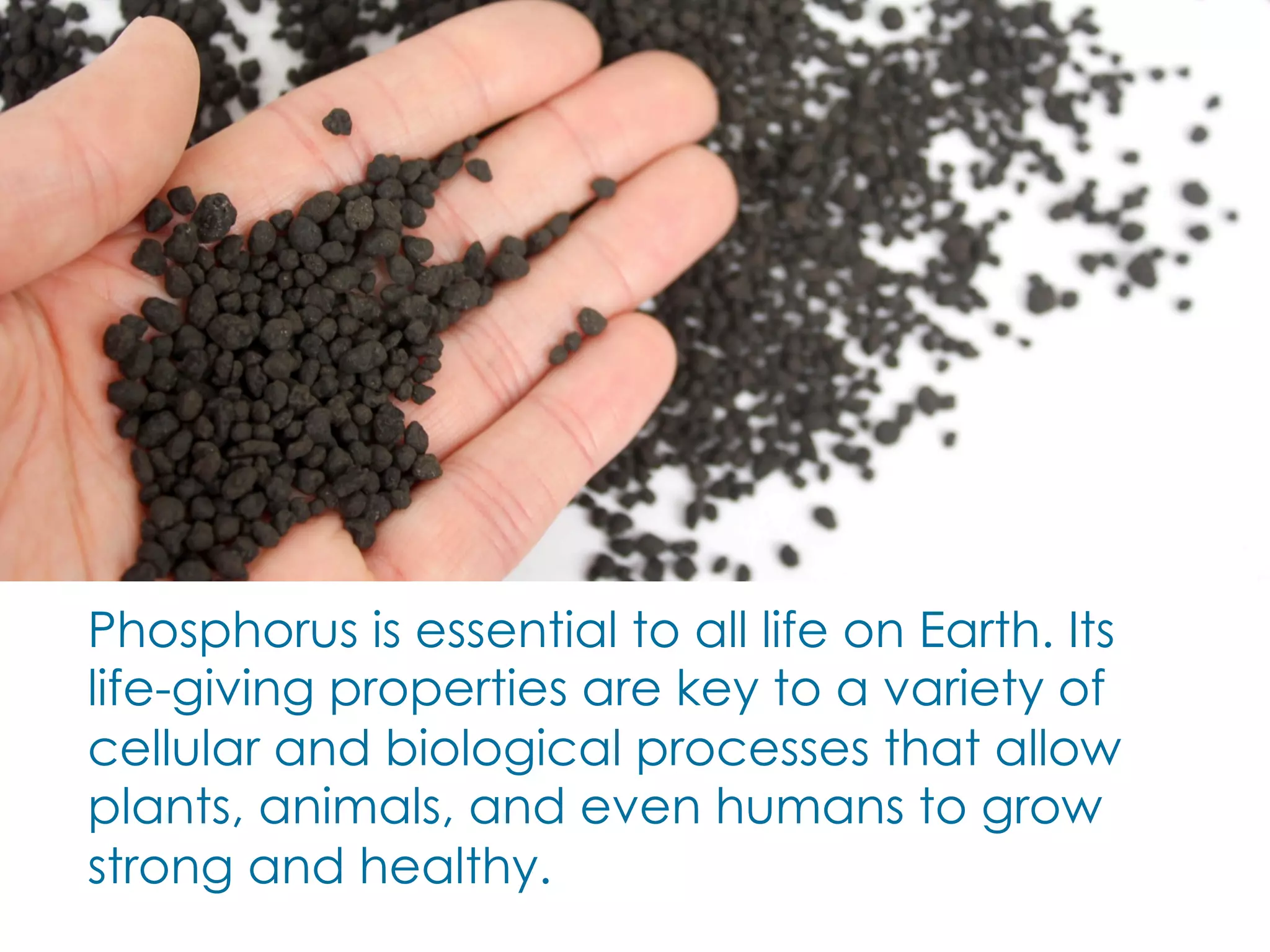 Phosphate Processing Equipment Overview | PDF