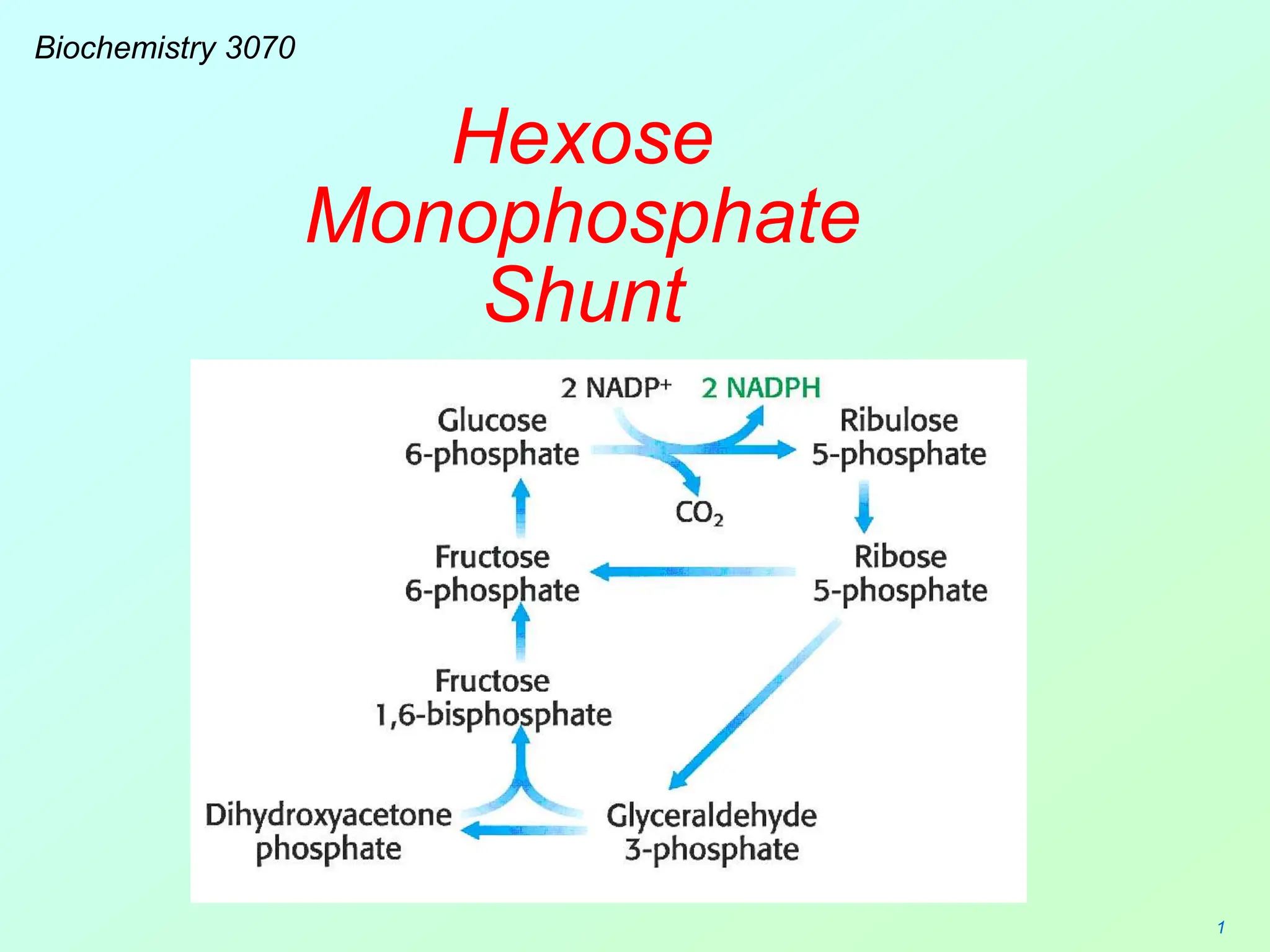 Phosphate Shunt boichemistry and bioenergetics | PPT