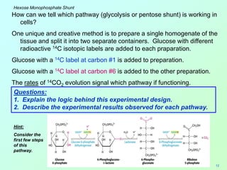Phosphate Shunt boichemistry and bioenergetics | PPT
