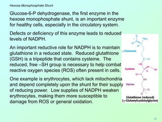 Phosphate Shunt boichemistry and bioenergetics | PPT