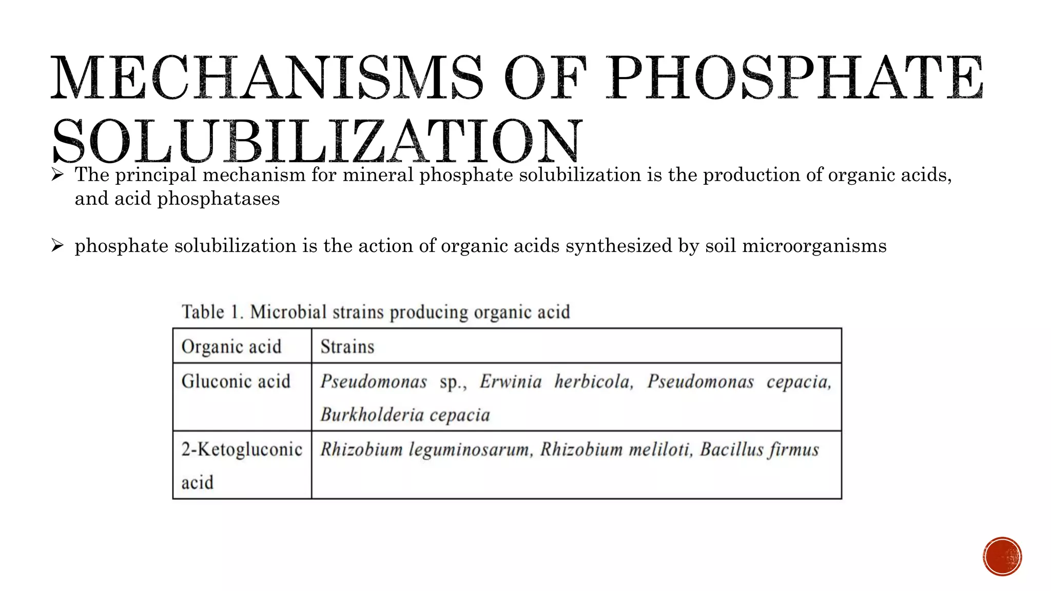 Phosphate solubilizers | PPTX