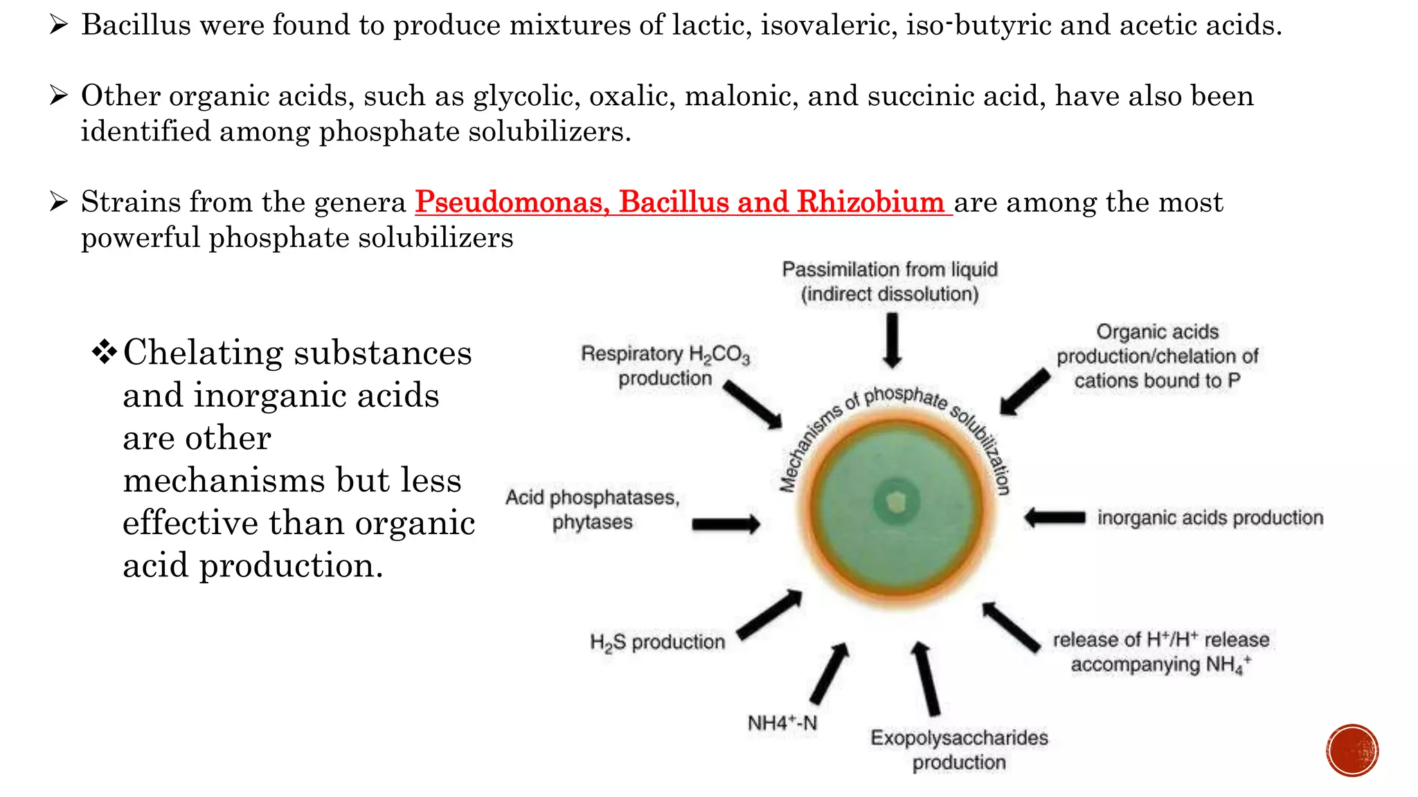 Phosphate solubilizers | PPTX