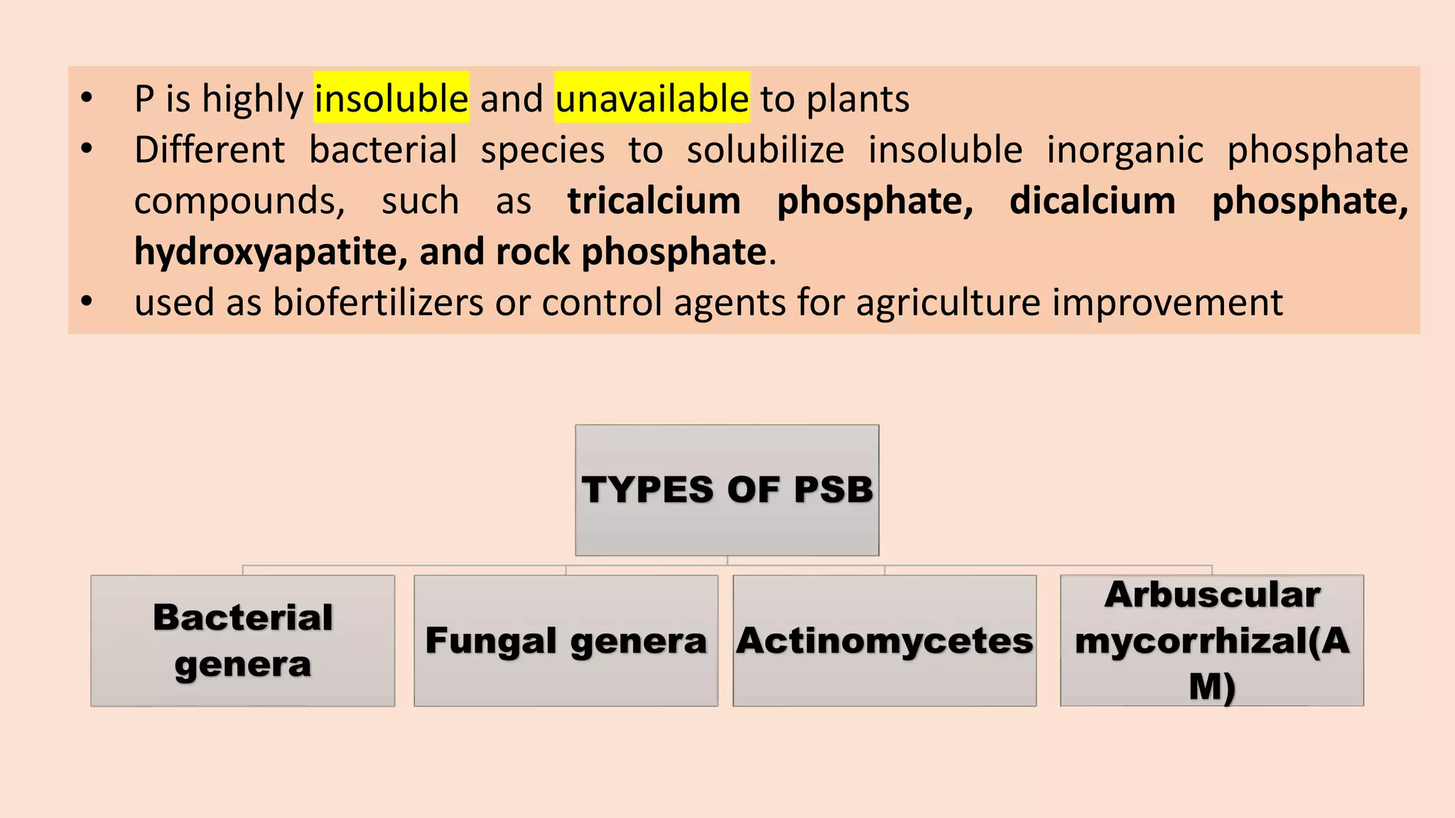 PHOSPHATE SOLUBILIZERS by Pranzly.ppt