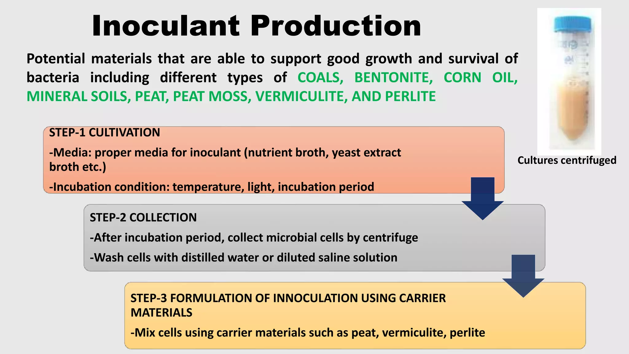 PHOSPHATE SOLUBILIZERS by Pranzly.ppt
