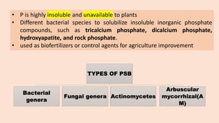 PHOSPHATE SOLUBILIZERS by Pranzly.ppt