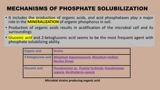 PHOSPHATE SOLUBILIZERS by Pranzly.ppt