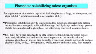 Phosphate solubilizing Bacteria- Agriculture microbiology PPT.pptx | Gardening | Home & Garden