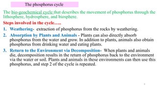 Phosphate solubilizing Bacteria- Agriculture microbiology PPT.pptx ...