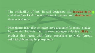 Phosphate Solubilizing Microorganisms.pptx