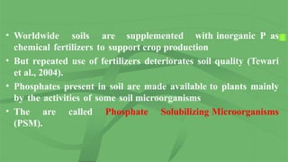 Phosphate Solubilizing Microorganisms.pptx