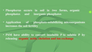 Phosphate Solubilizing Microorganisms.pptx
