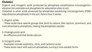 phosphate solublizing microbes / PSM.pdf