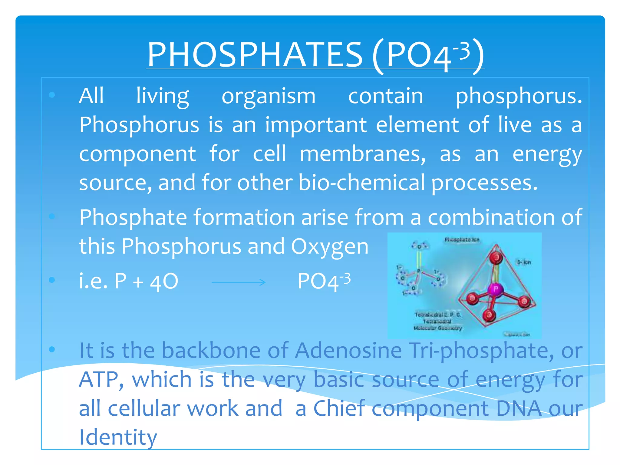Phosphates (po4 3) | PPTX