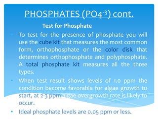 Phosphates (po4 3) | PPTX