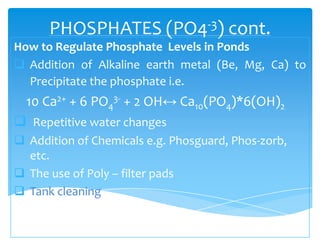 Phosphates (po4 3) | PPTX
