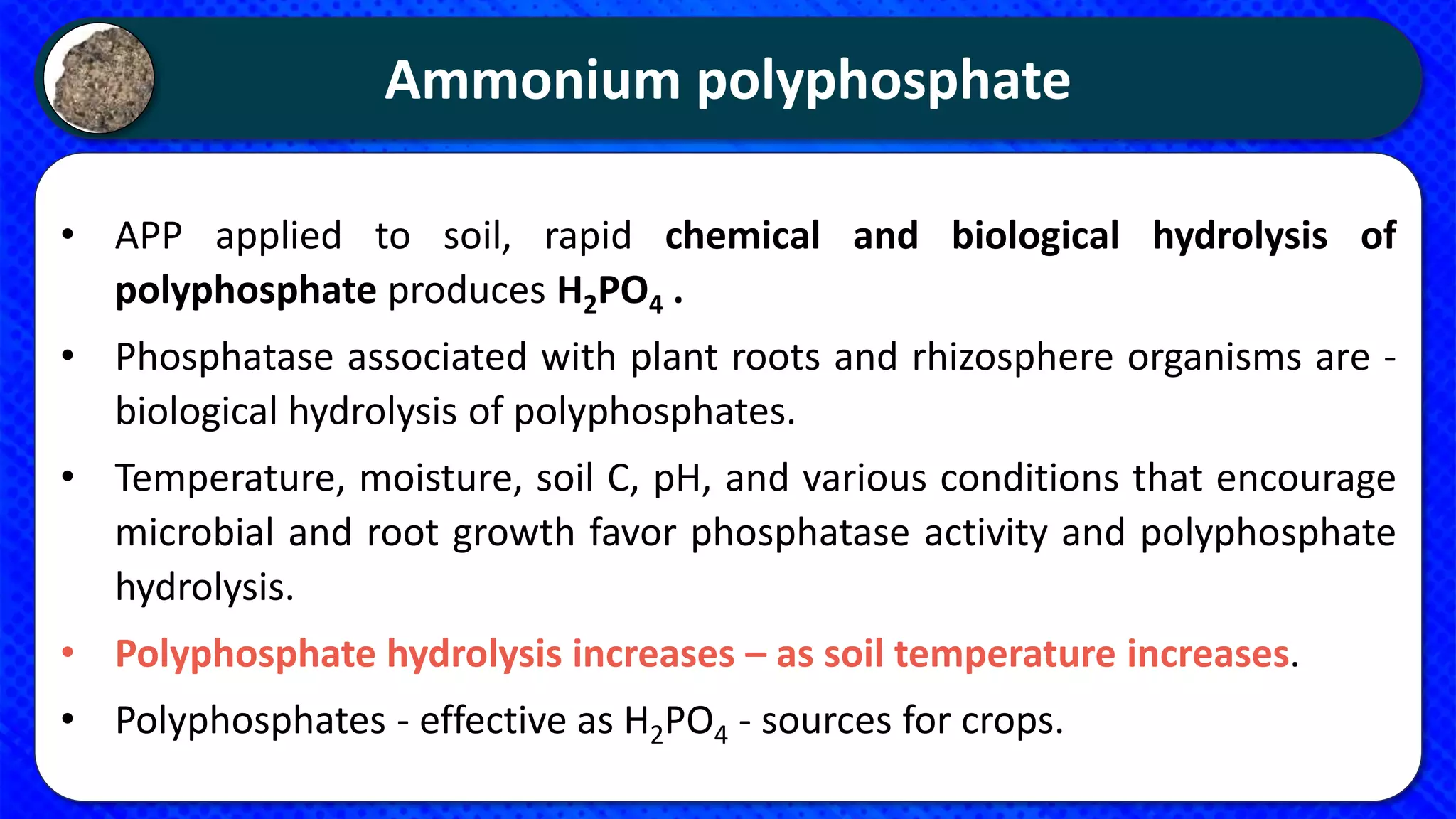 PHOSPHATIC FERTILIZERS - BEHAVIOR IN SOILS AND MANAGEMENT.pptx