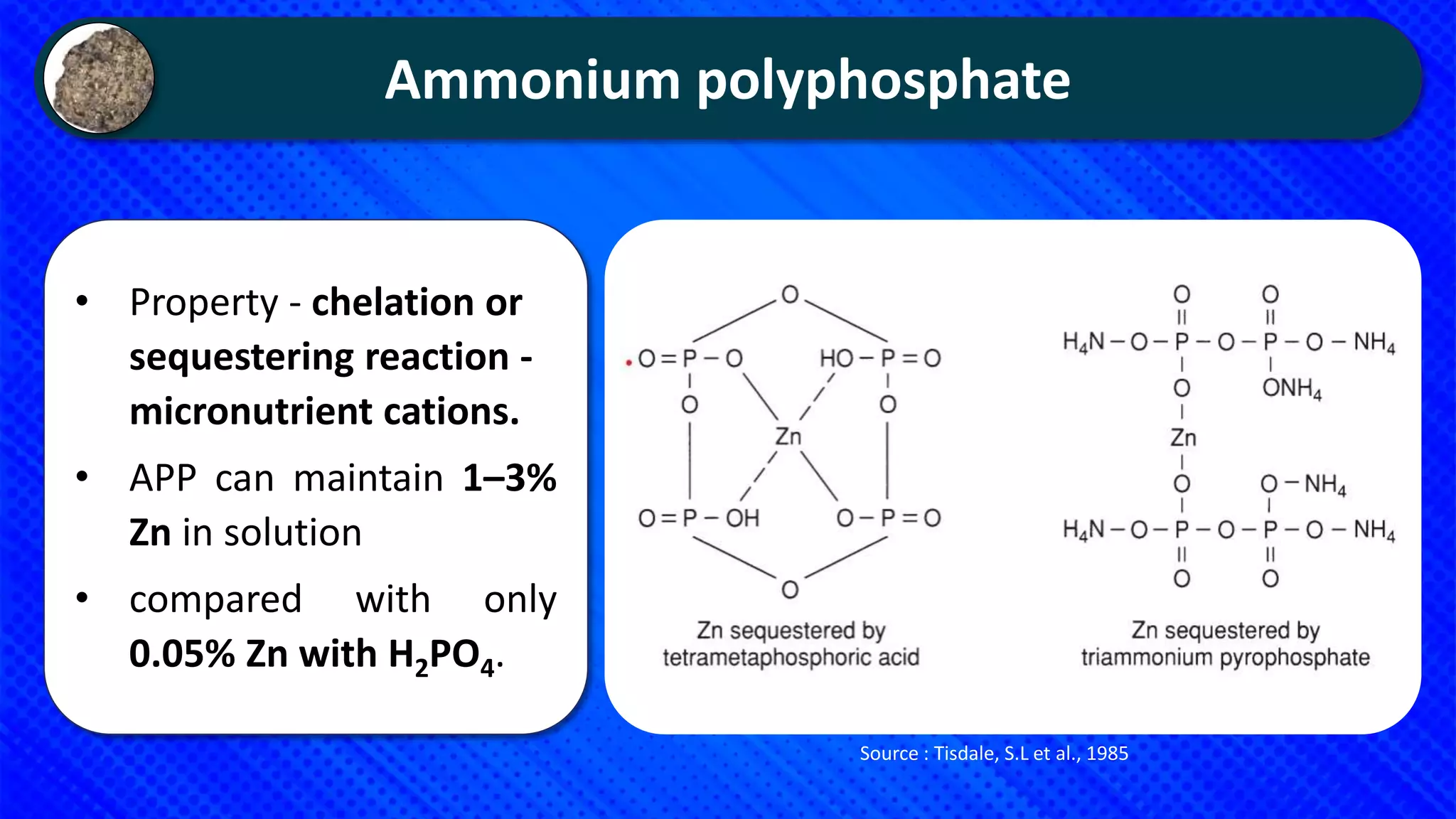 PHOSPHATIC FERTILIZERS - BEHAVIOR IN SOILS AND MANAGEMENT.pptx