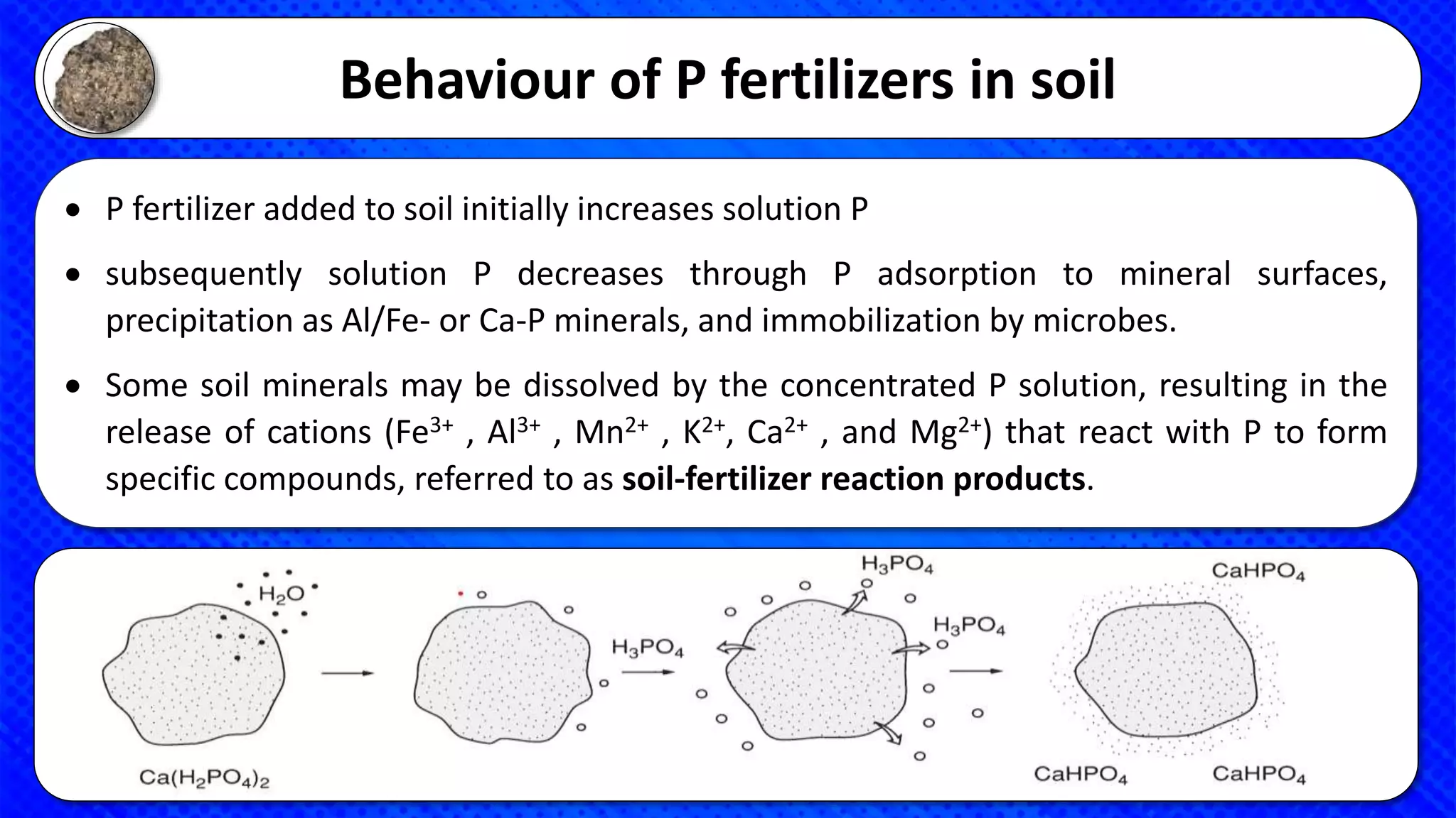 PHOSPHATIC FERTILIZERS - BEHAVIOR IN SOILS AND MANAGEMENT.pptx