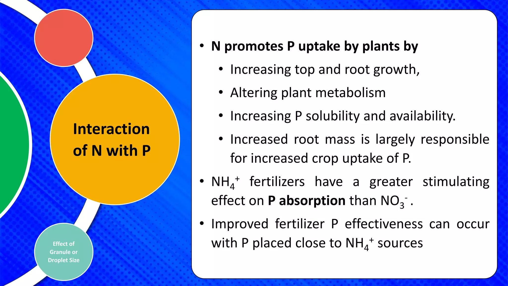 PHOSPHATIC FERTILIZERS - BEHAVIOR IN SOILS AND MANAGEMENT.pptx