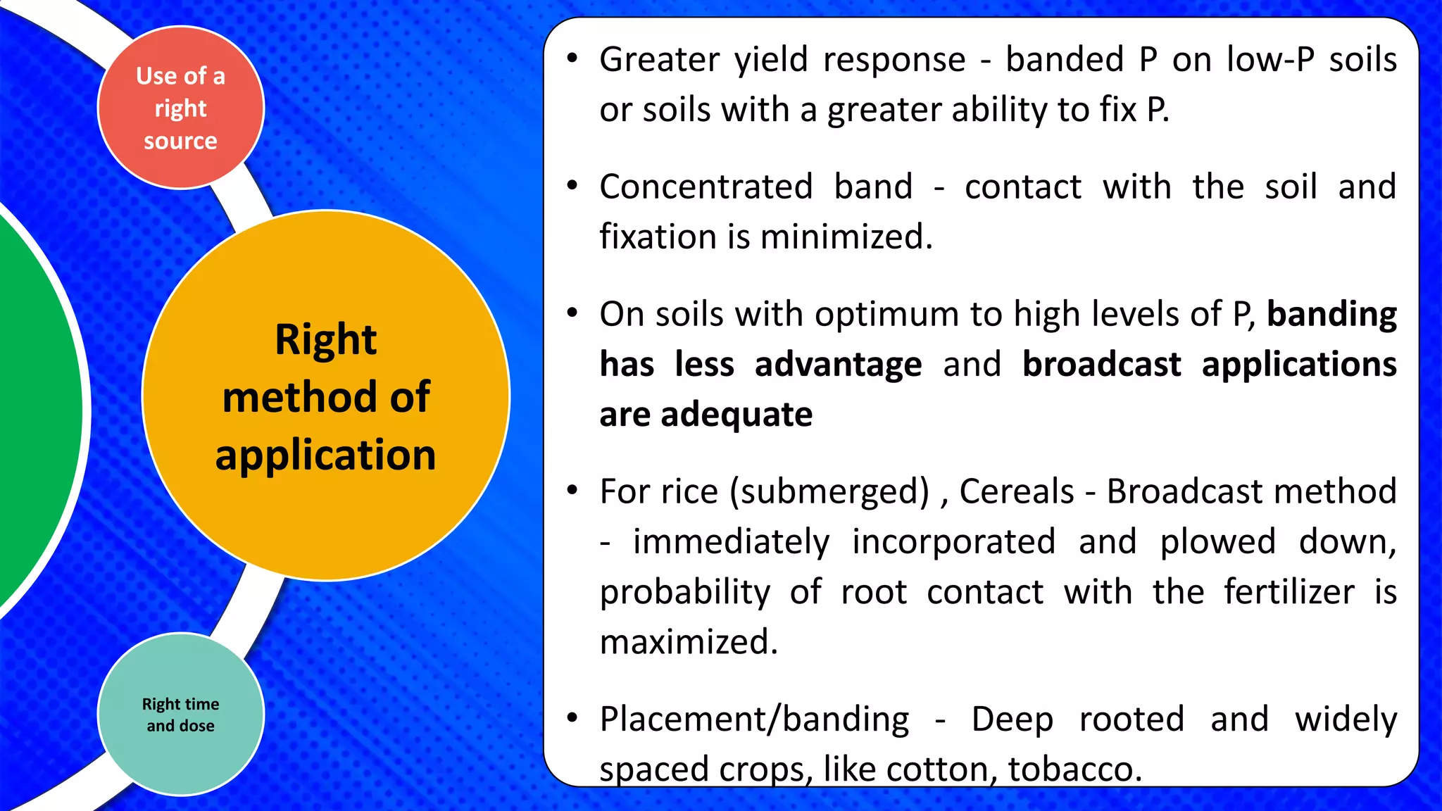 PHOSPHATIC FERTILIZERS - BEHAVIOR IN SOILS AND MANAGEMENT.pptx