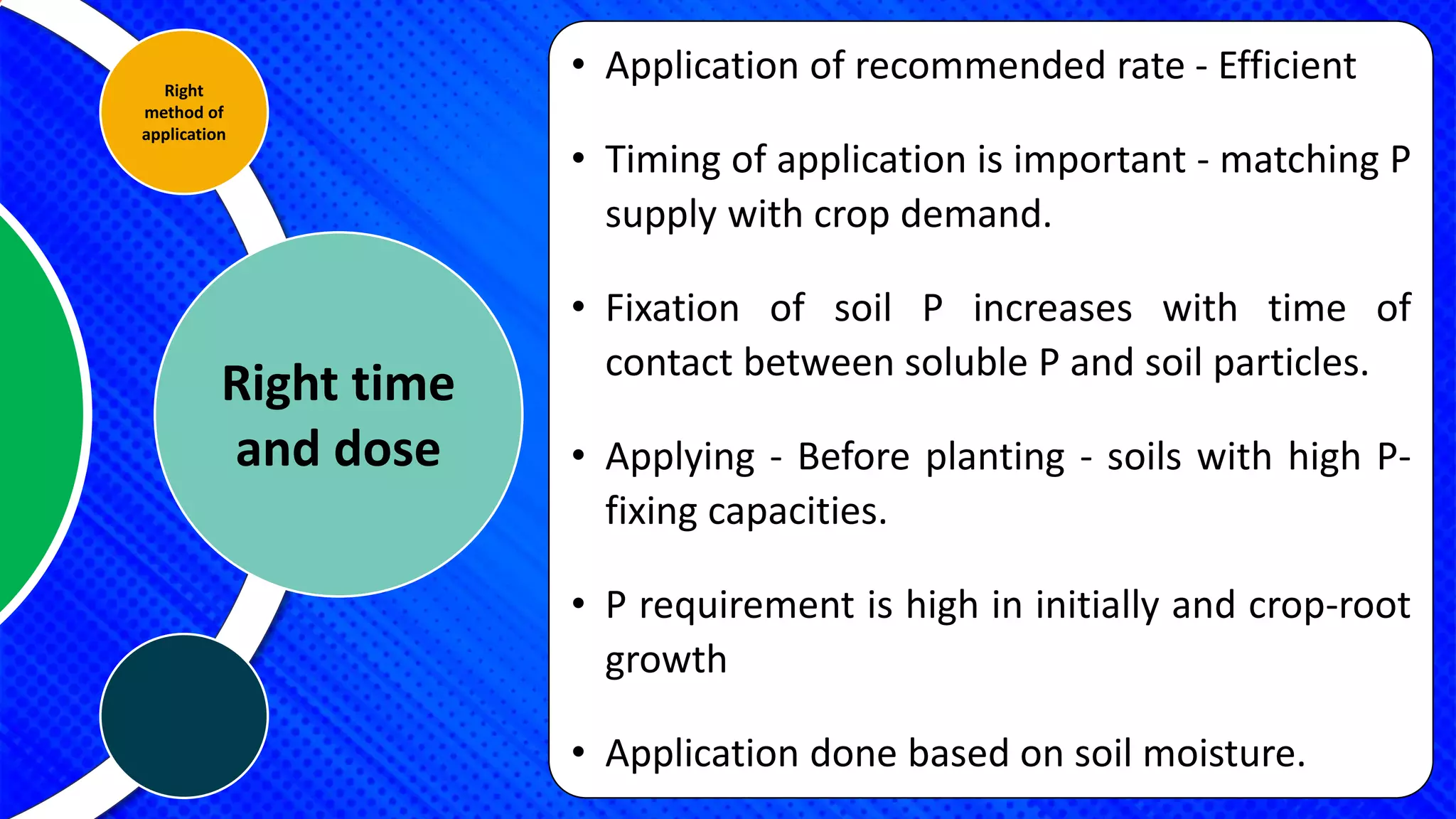 PHOSPHATIC FERTILIZERS - BEHAVIOR IN SOILS AND MANAGEMENT.pptx