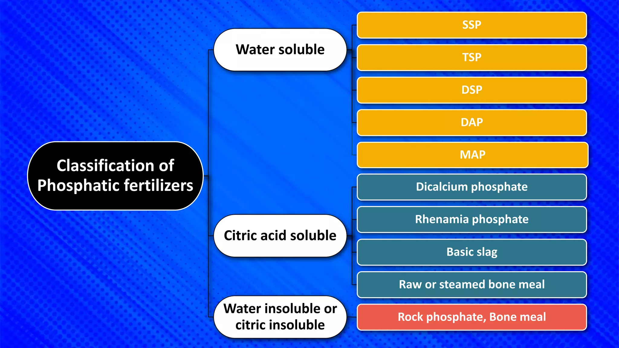 PHOSPHATIC FERTILIZERS - BEHAVIOR IN SOILS AND MANAGEMENT.pptx