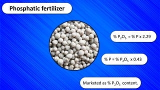 PHOSPHATIC FERTILIZERS - BEHAVIOR IN SOILS AND MANAGEMENT.pptx