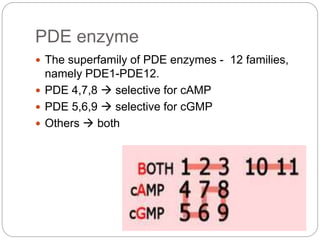 Phosphodiesterase inhibitors | PPTX