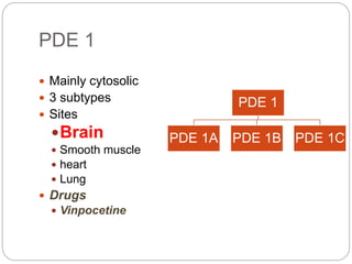 Phosphodiesterase inhibitors | PPTX