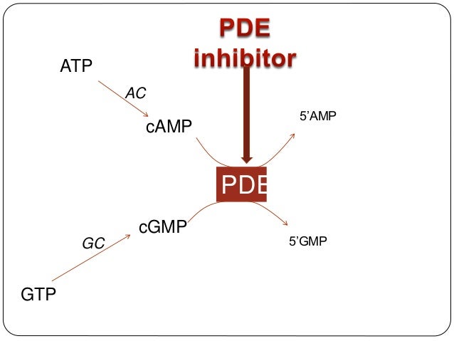 Phosphodiesterase inhibitors