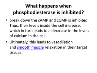 phosphodiesterase inhibitors.pptx