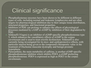 Phosphodiesterases | PPTX