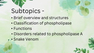 phospholipase ppt is described in this ppt | PDF