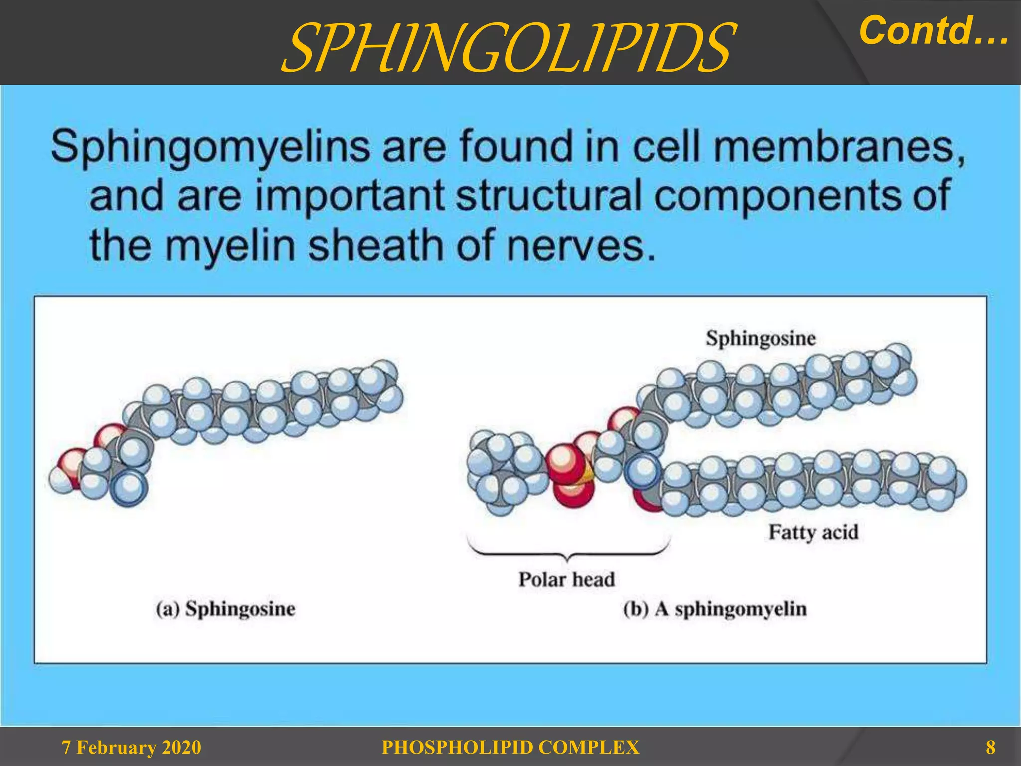 Phospholipid complex ppt | PPT