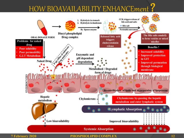 Phospholipid complex ppt | PPT