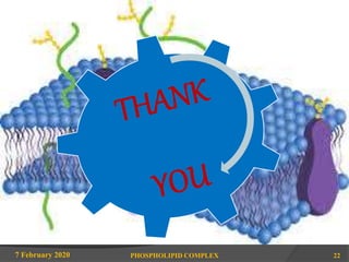 Phospholipid complex ppt | PPT