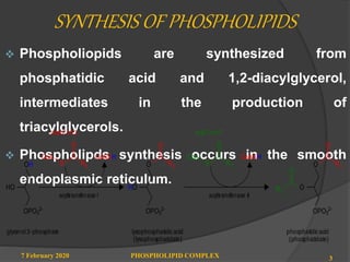 Phospholipid complex ppt | PPT